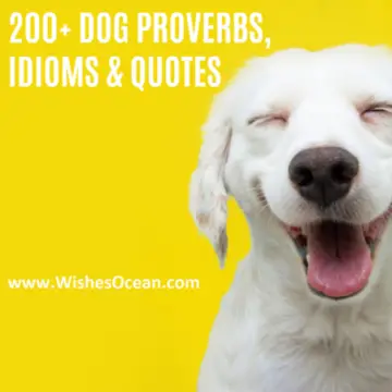200+ Proverbs About Dogs (Idioms, Quotes, And Proverbs About Dogs ...