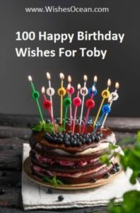 100 Happy Birthday Toby Wishes And Messages - Wishes Ocean